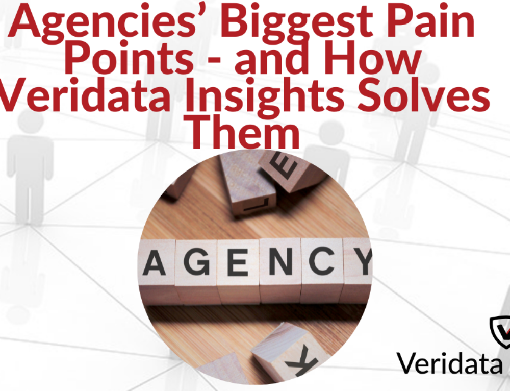 Solving Management Consulting Firms’ Biggest Pain Points with Veridata ...